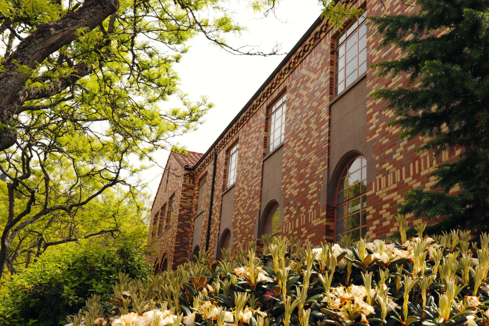 Visit to WWU Campus – Dark Star Photography