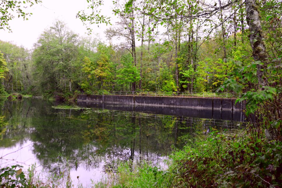 Fortson Mill – Dark Star Photography